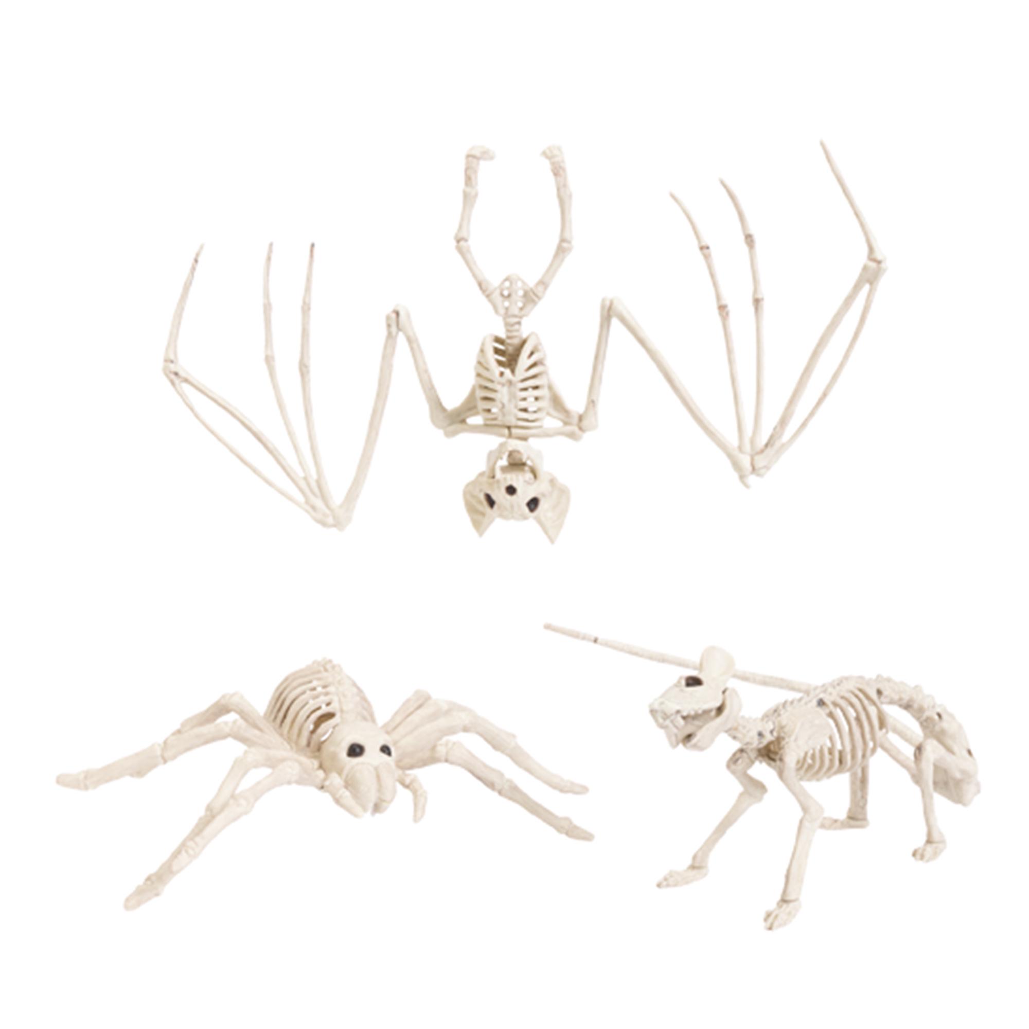 Sainsbury's online Grocery Shopping and Fresh Food Delivery