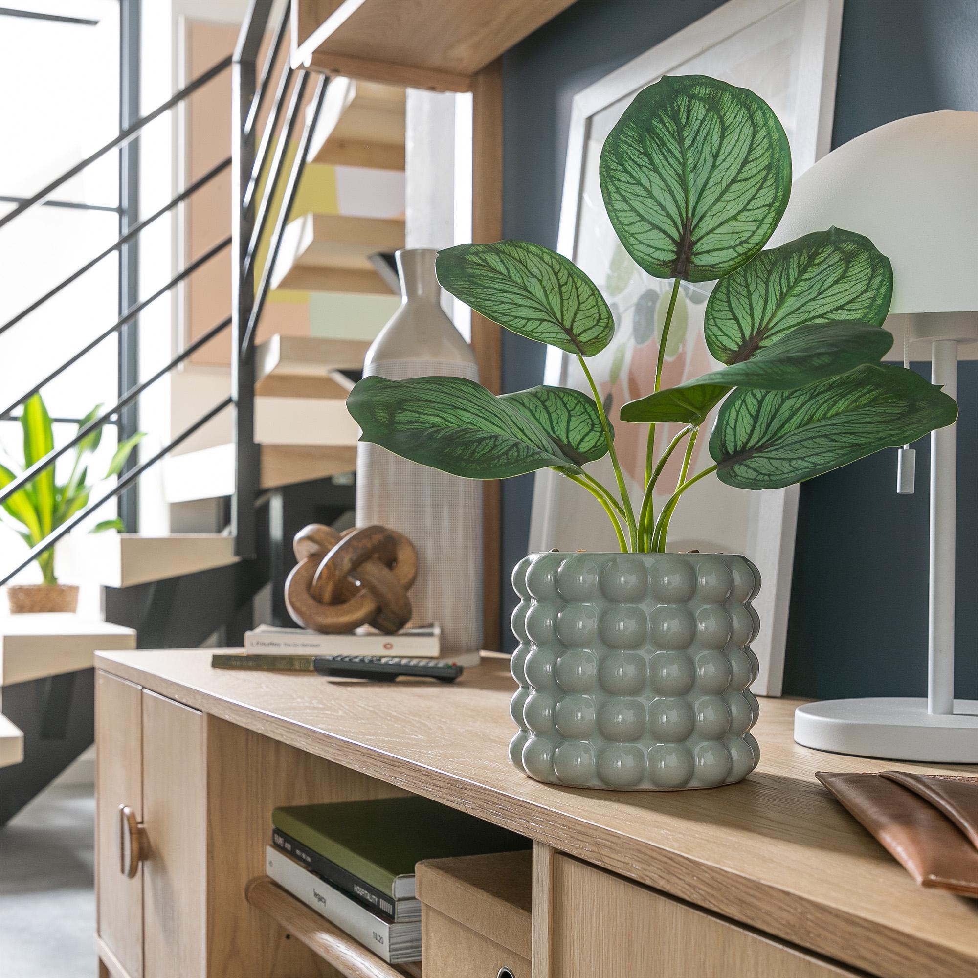 Sainsbury's online Grocery Shopping and Fresh Food Delivery