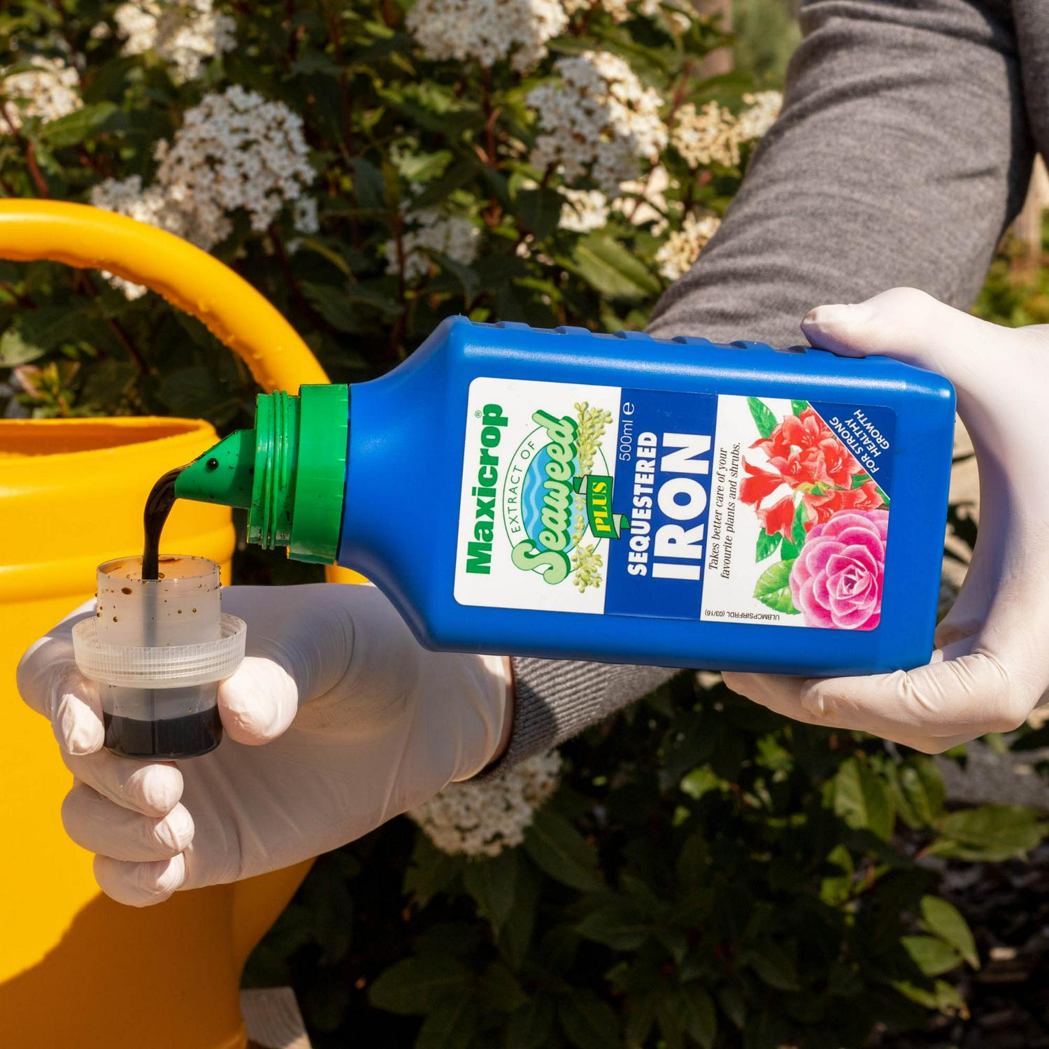 Sainsbury's online Grocery Shopping and Fresh Food Delivery