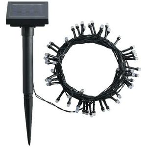 Sainsbury's online Grocery Shopping and Fresh Food Delivery