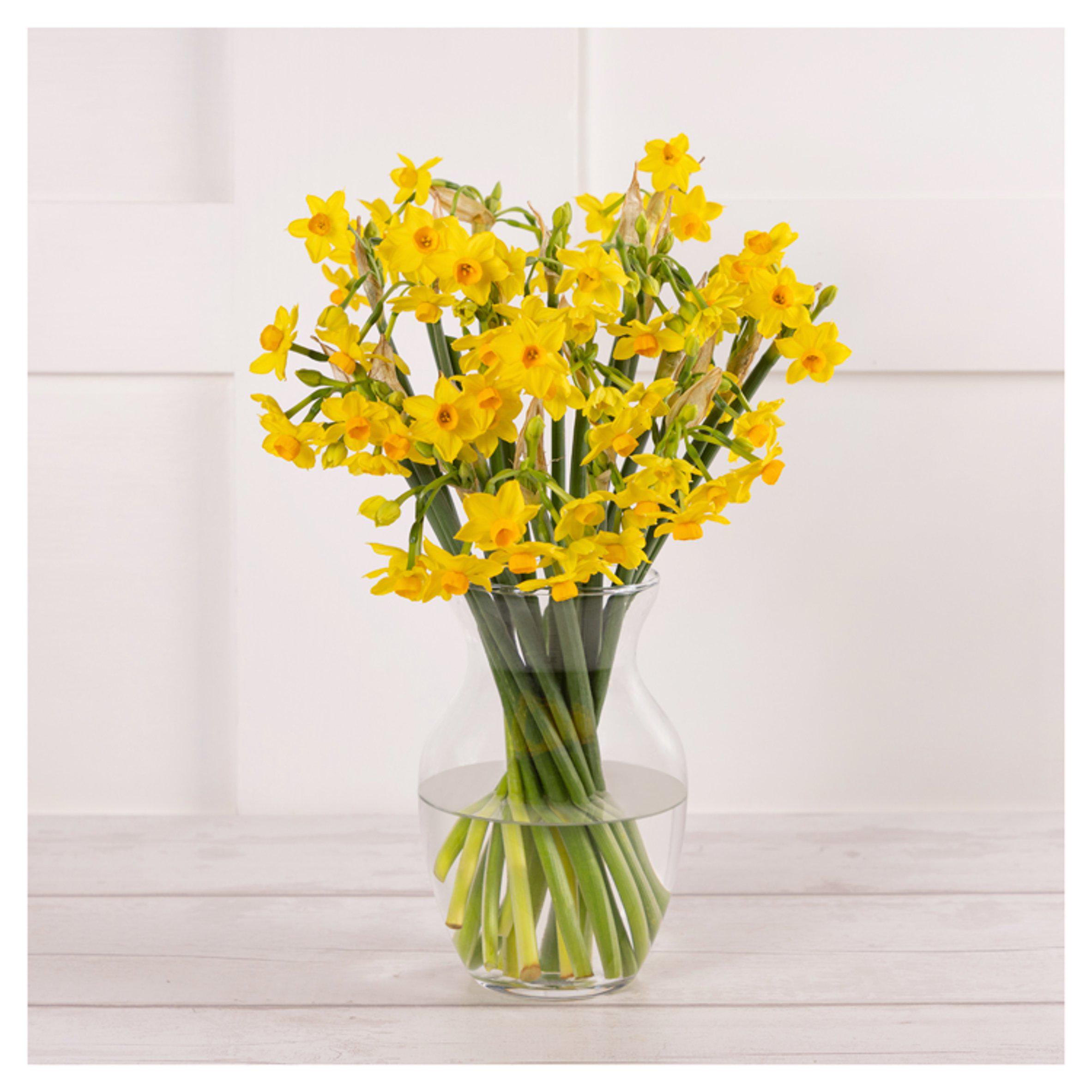 Sainsbury's online Grocery Shopping and Fresh Food Delivery