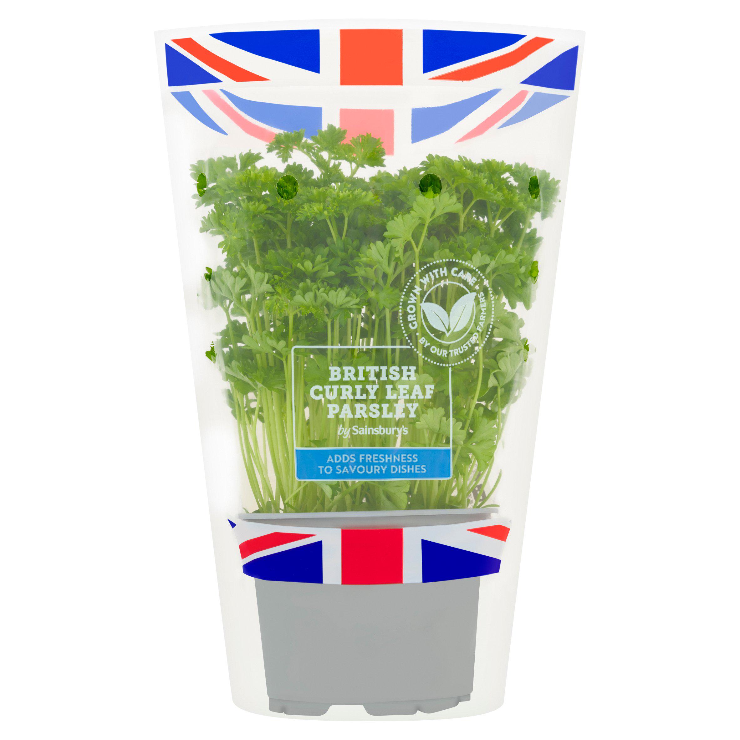 Sainsbury's online Grocery Shopping and Fresh Food Delivery