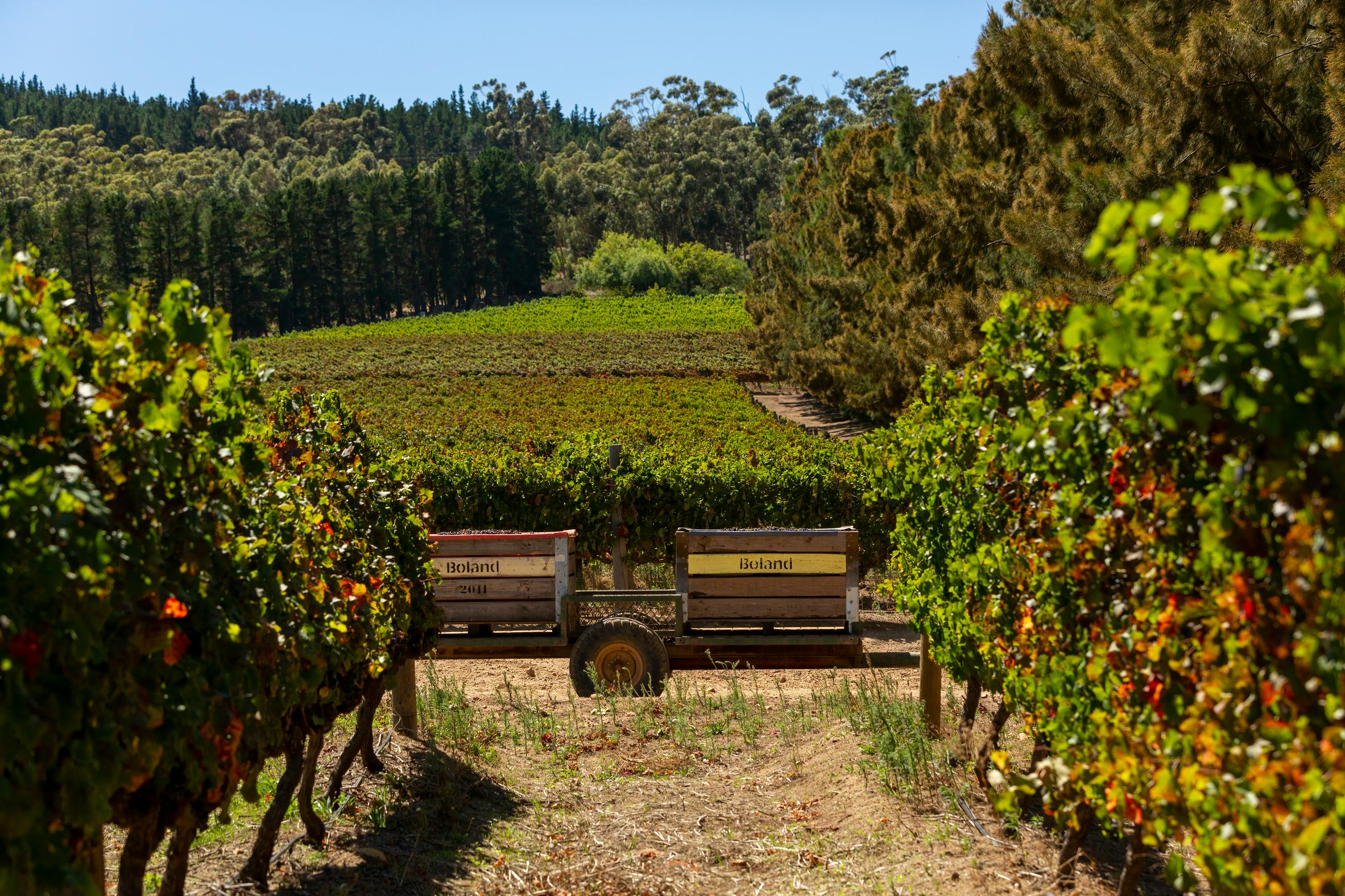 Sainsbury's online Grocery Shopping and Fresh Food Delivery