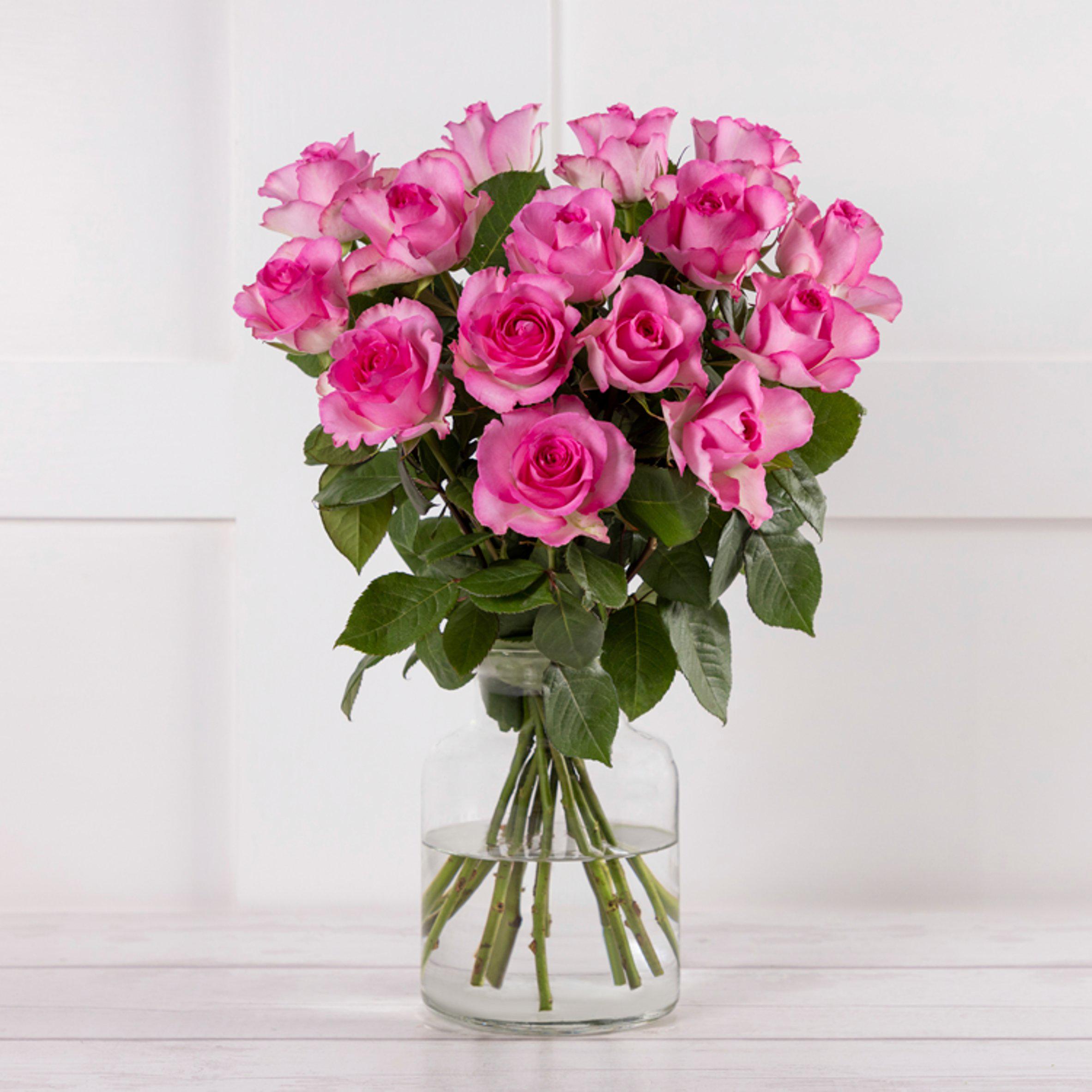 Sainsbury's online Grocery Shopping and Fresh Food Delivery