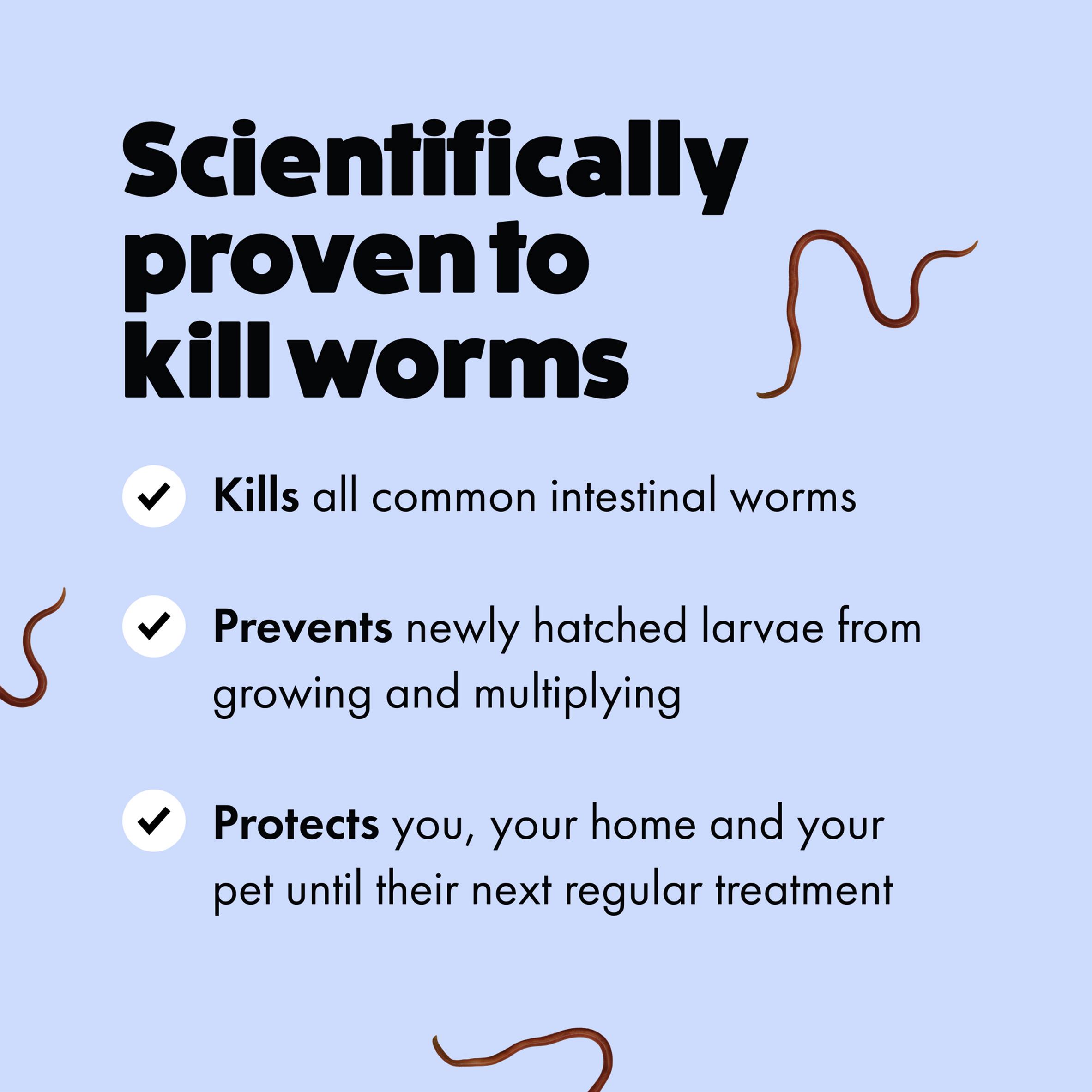 Sainsbury's online Grocery Shopping and Fresh Food Delivery