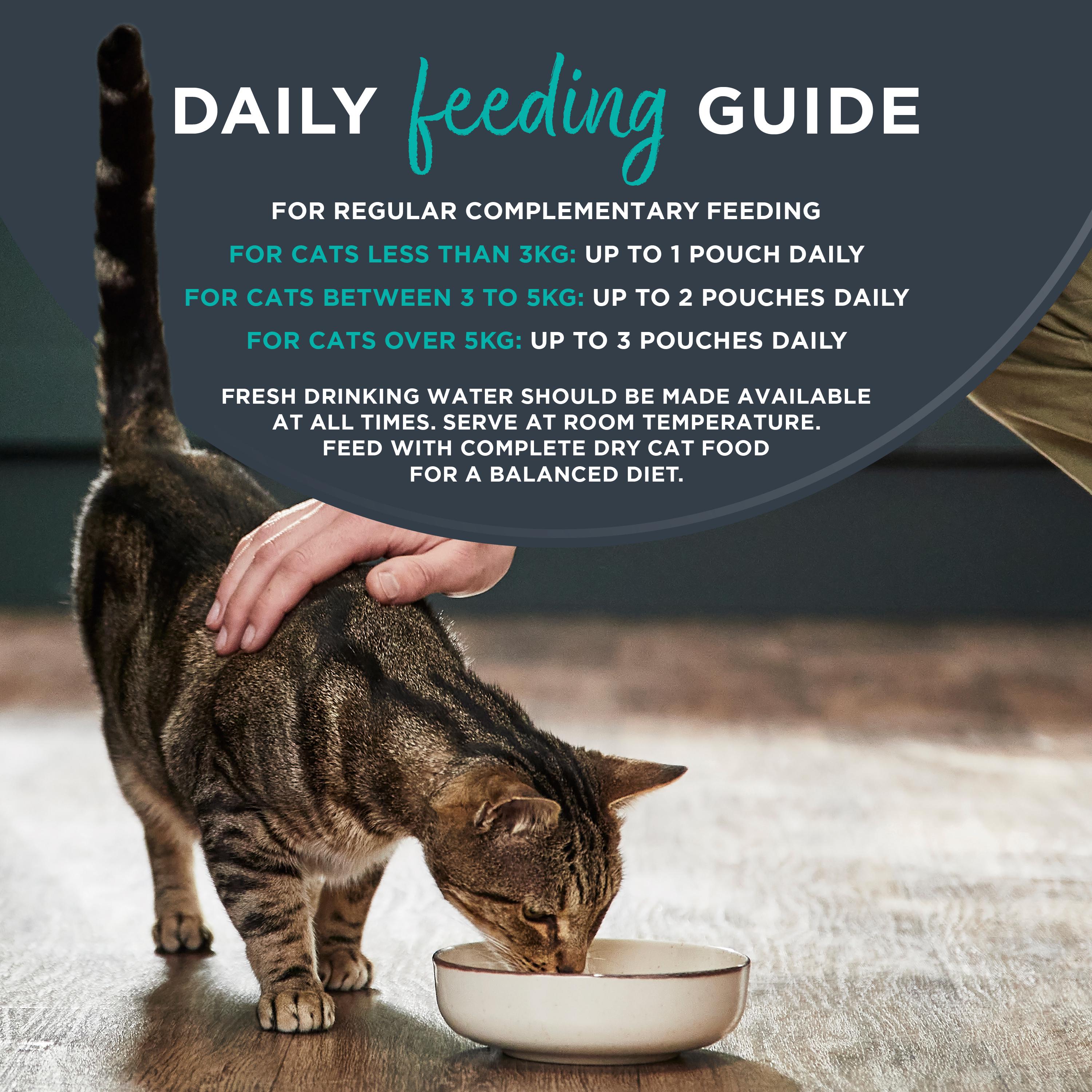 Sainsbury's online Grocery Shopping and Fresh Food Delivery